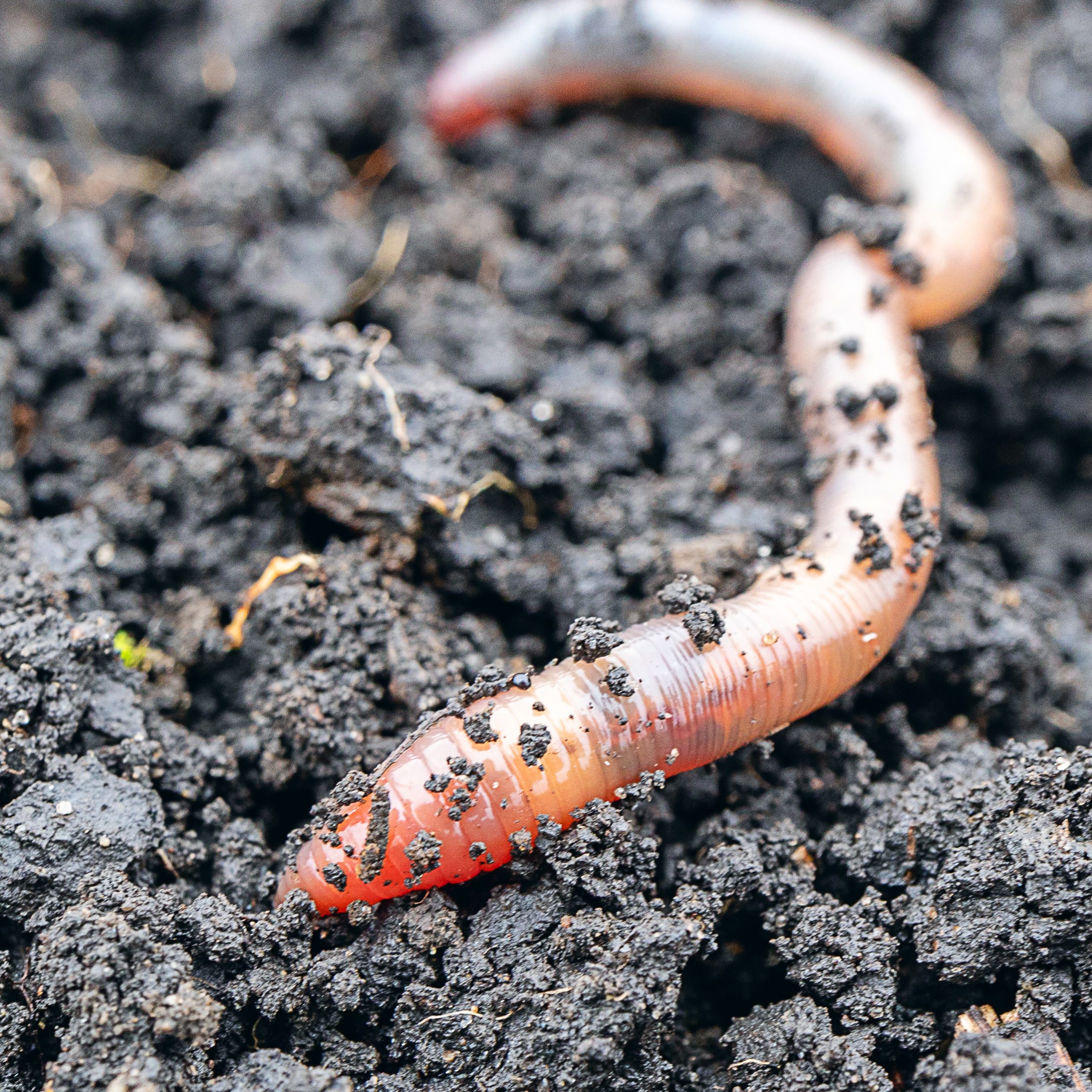 Bodem - Werken bij NOD